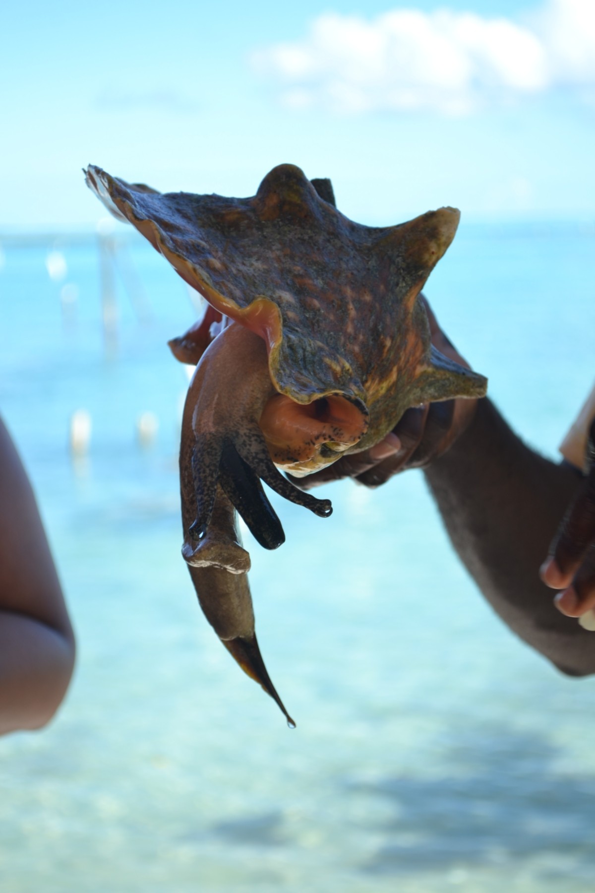 Taste&Travel Magazine