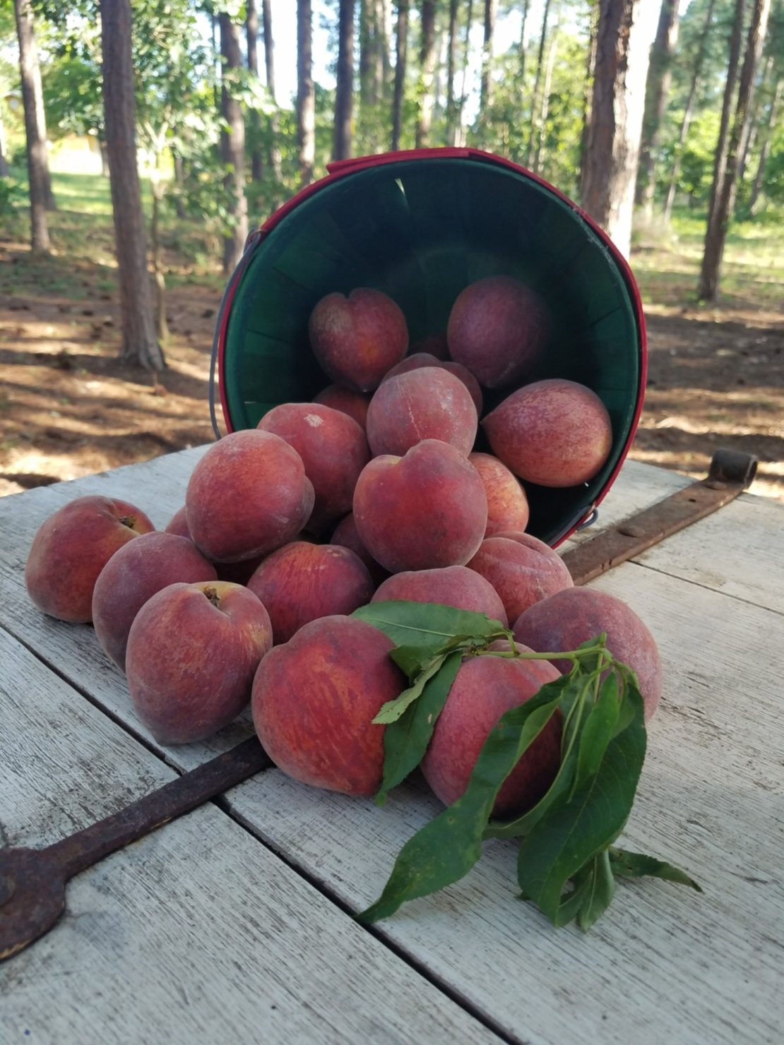 Taste&Travel Magazine