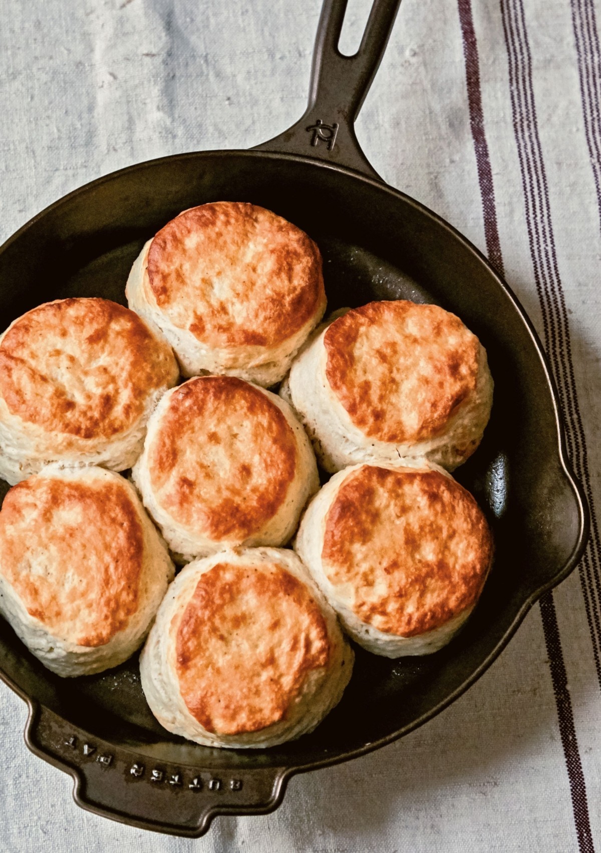 Taste&Travel Magazine