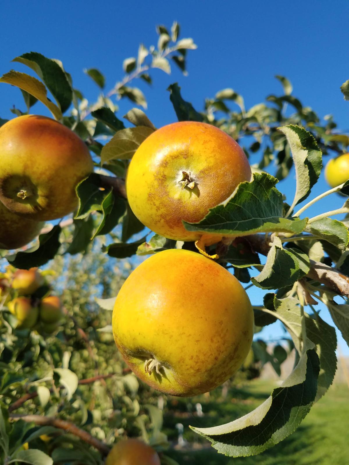 Taste&Travel Magazine